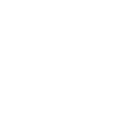 BRAZIN, Le brasero Français - Pour les épicuriens gastronomes
