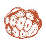 BRAZIN, Le brasero Français - Pour les épicuriens gastronomes